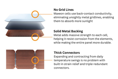 Maxeon Solar Cells: The Superior Choice for High-Performance Solar Power